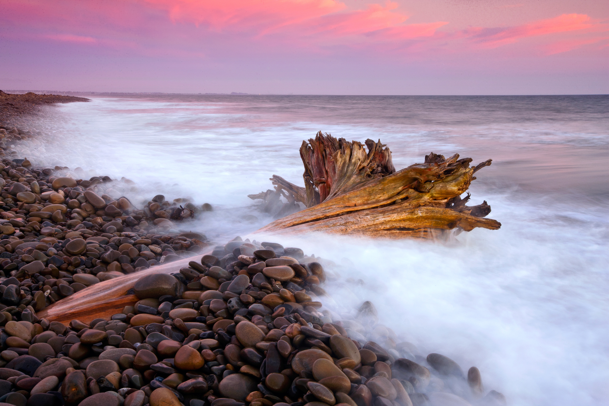 夕木 by Mark Chen