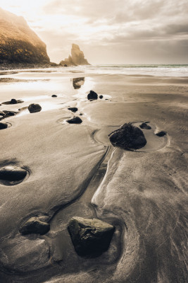 Talisker Beach by Walter Lackner