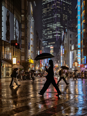 Walk Gallantly by Tomohiko Minagawa