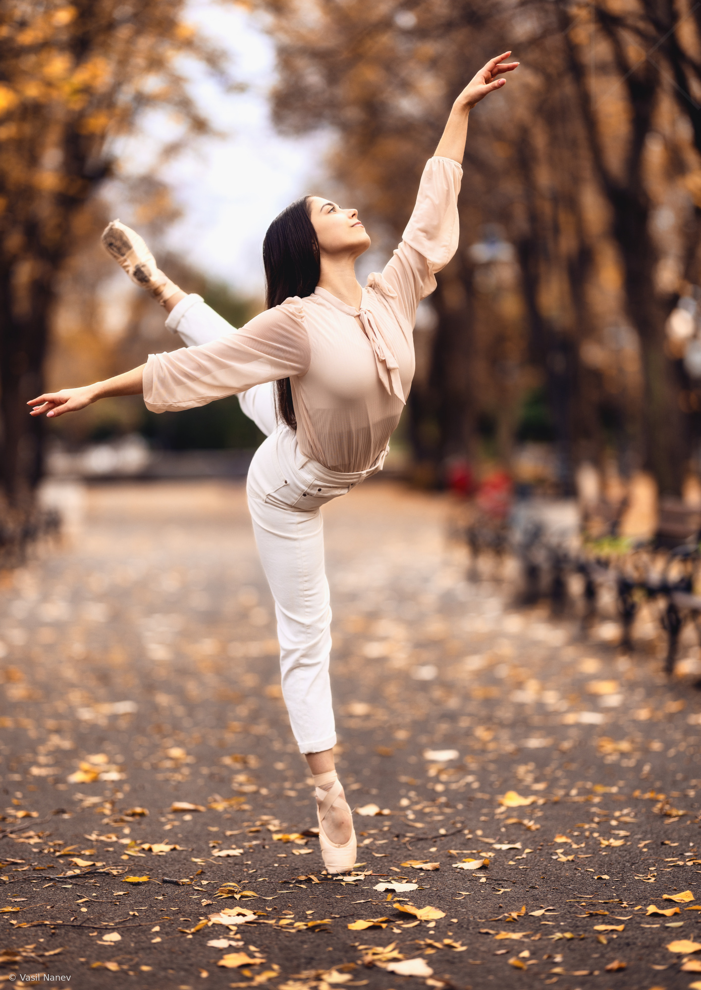 Ballerina in the park by Vasil Nanev