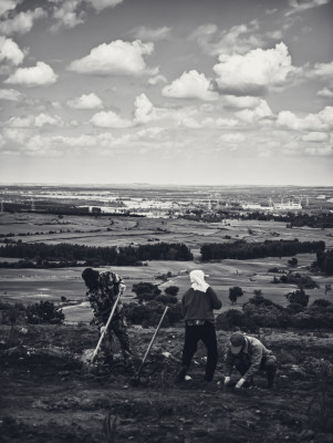 与沙尘对决（Duel with Sand and Dust） by Don Guerin