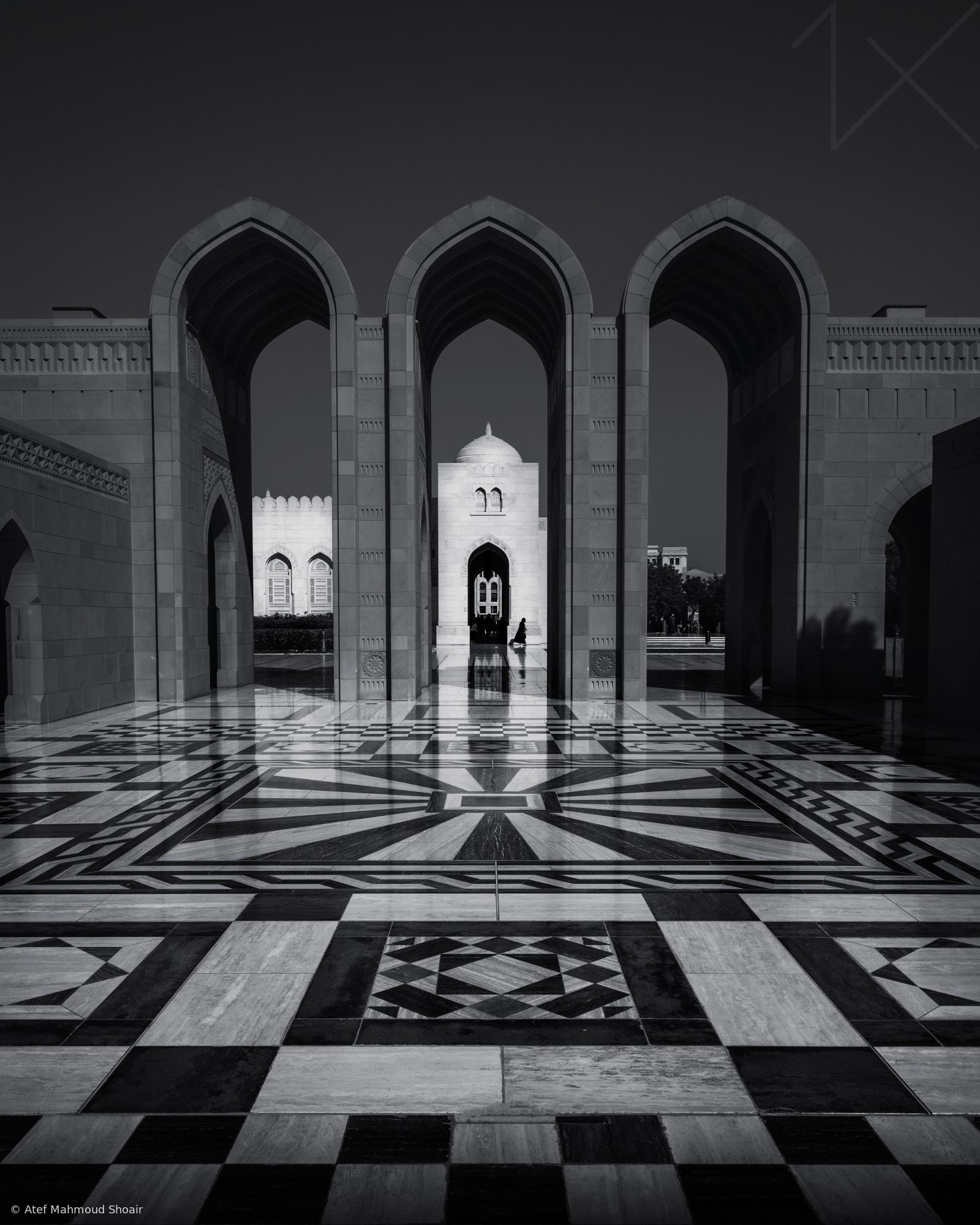 The Gate by Atef Mahmoud Shoair