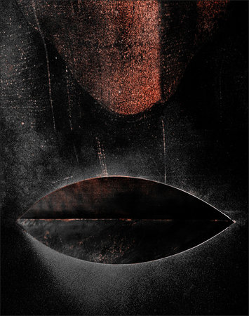 steel face by Gilbert Claes