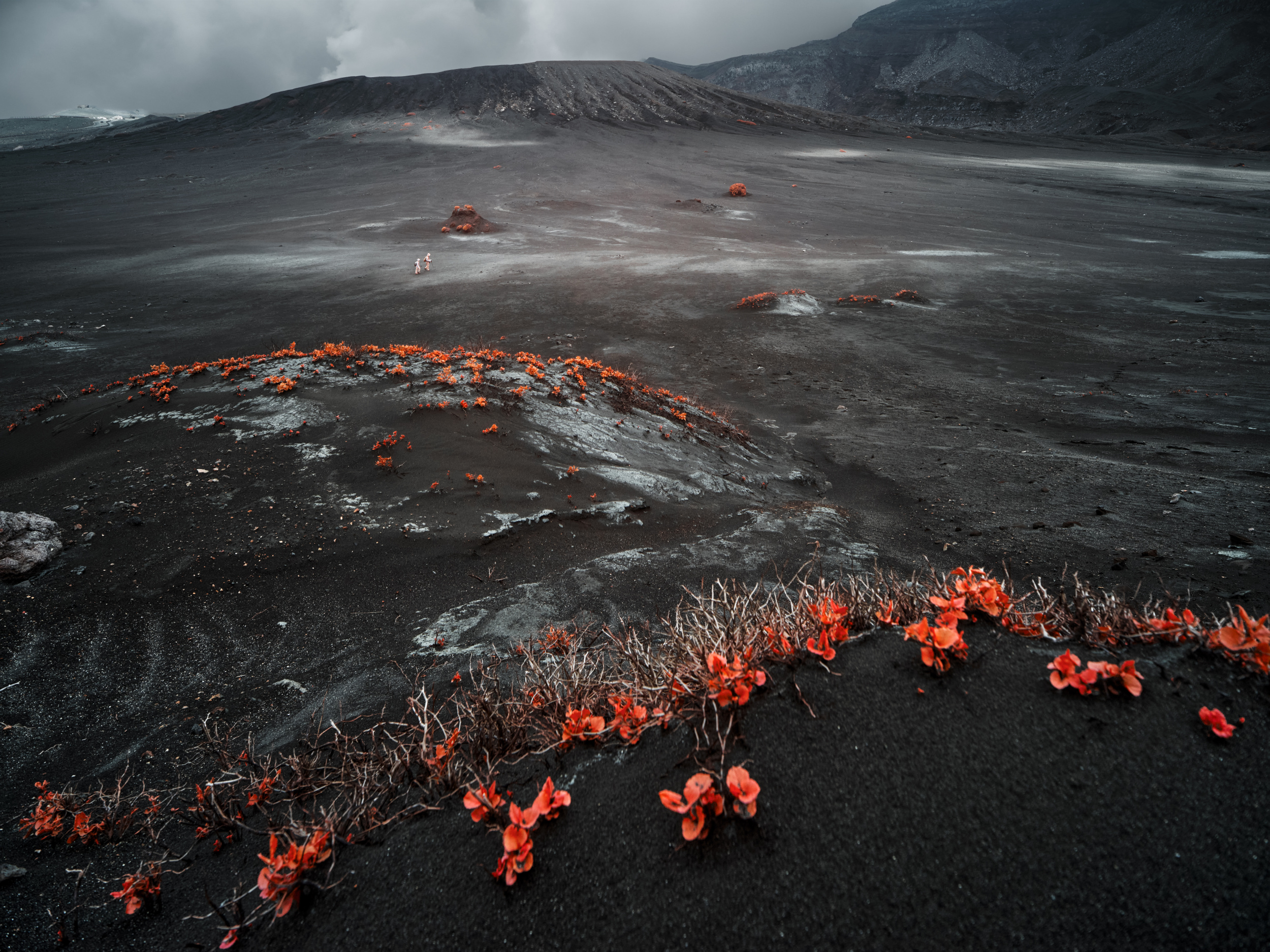 'Dreams of Reality' - Dream 14 by Mitja Kobal