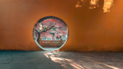 Temple in the fall by Calvin Feng