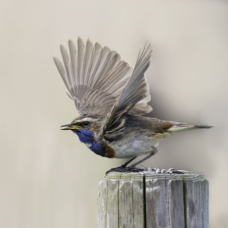 1x - Eddy Helsen - Latest photos