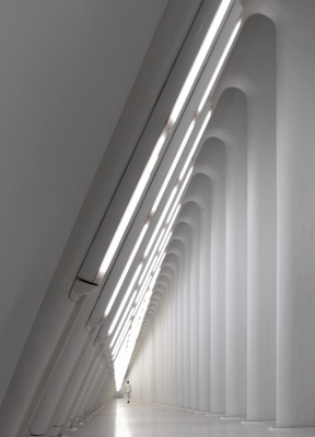 A Walk through Light by Ash Camas