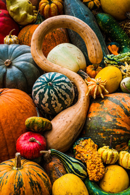 Pumpkin Meeting, #330 by Andrew Beavis