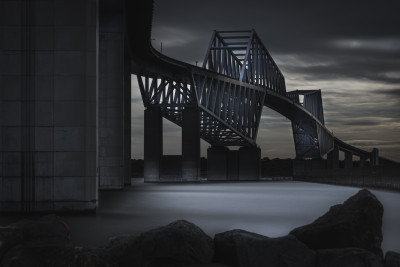 Dinosaur Bridge by masaki kaneko