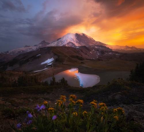 A Summer Sunset Near Mt Rainier by Dianne Mao