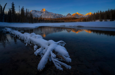 Cold Bright Morning by Lydia Jacobs