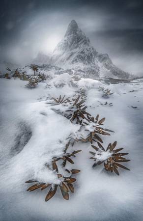 Buried by Yanming Zao