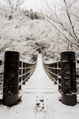 winter by yoshitsugu seki