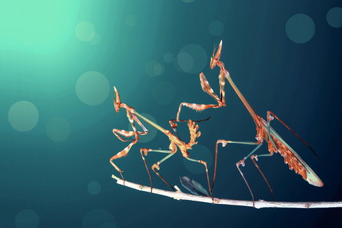 1x - mustafa öztürk - Latest photos