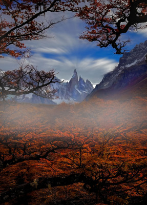 Torre’s Embrace by Nancy Mu