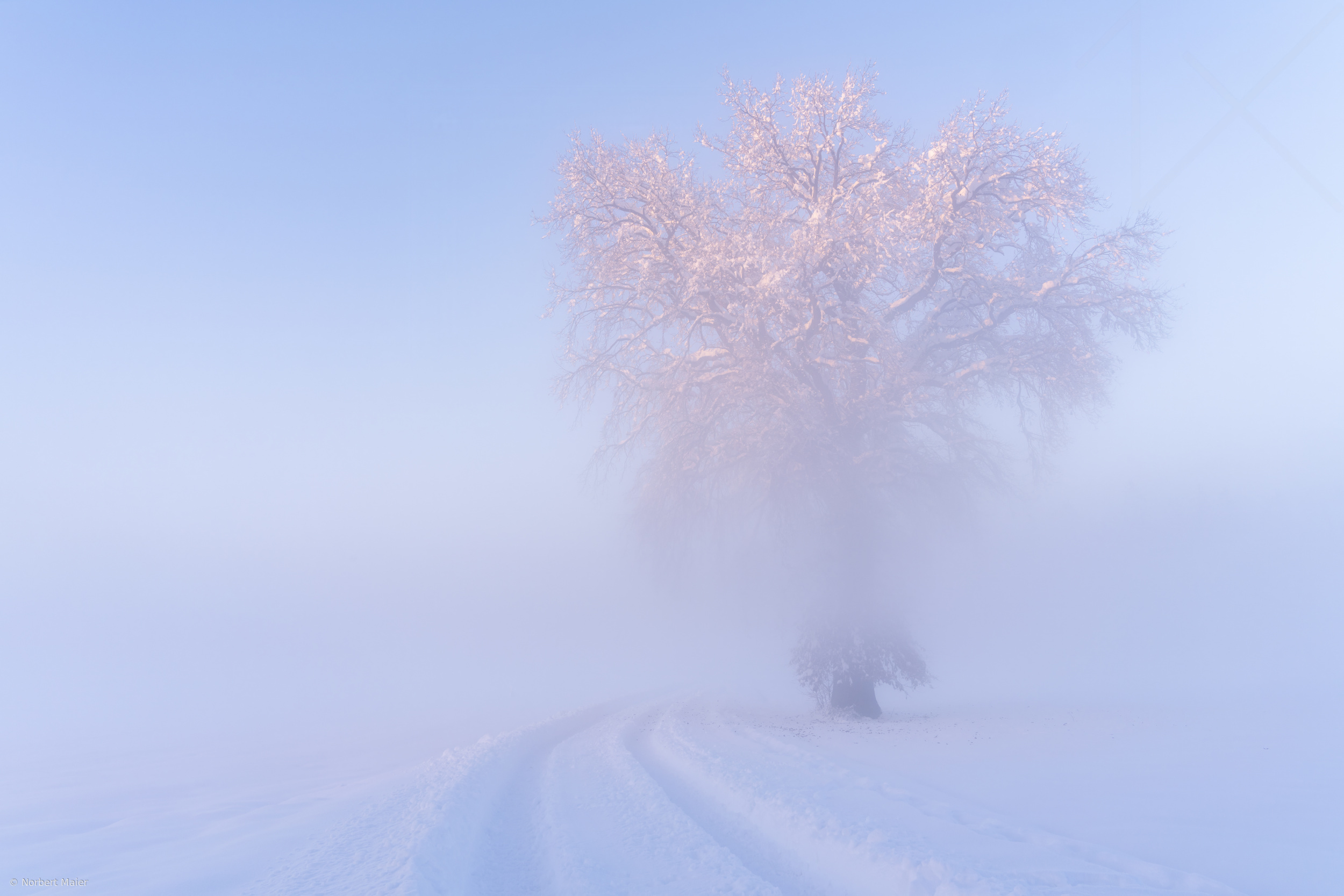 Obscured by Norbert Maier