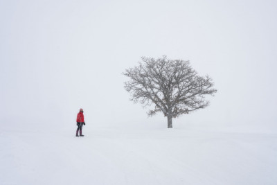 Scarlet Solitude by Johnny Zhang