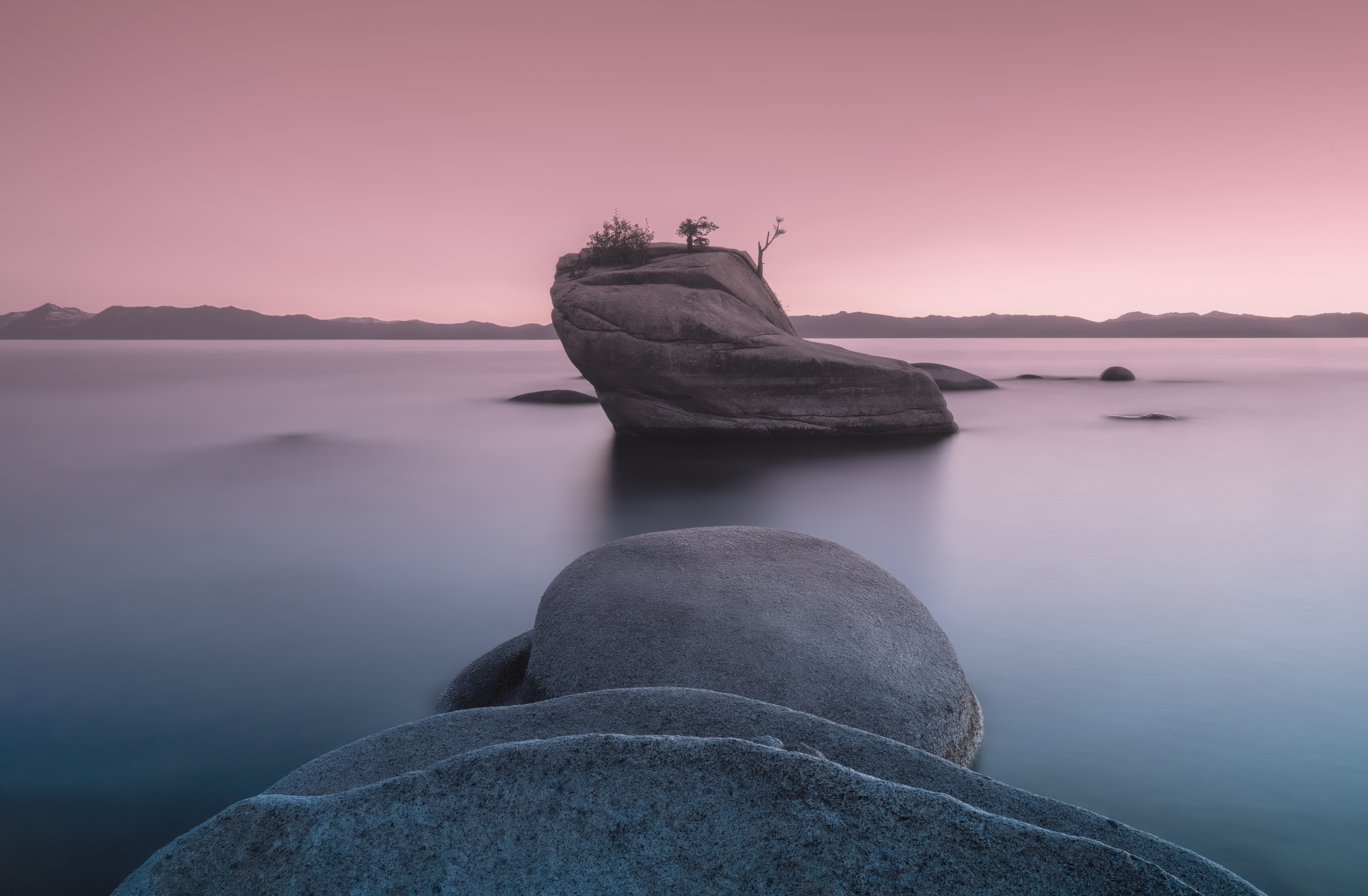 Bonsai Rock by Rong Shu