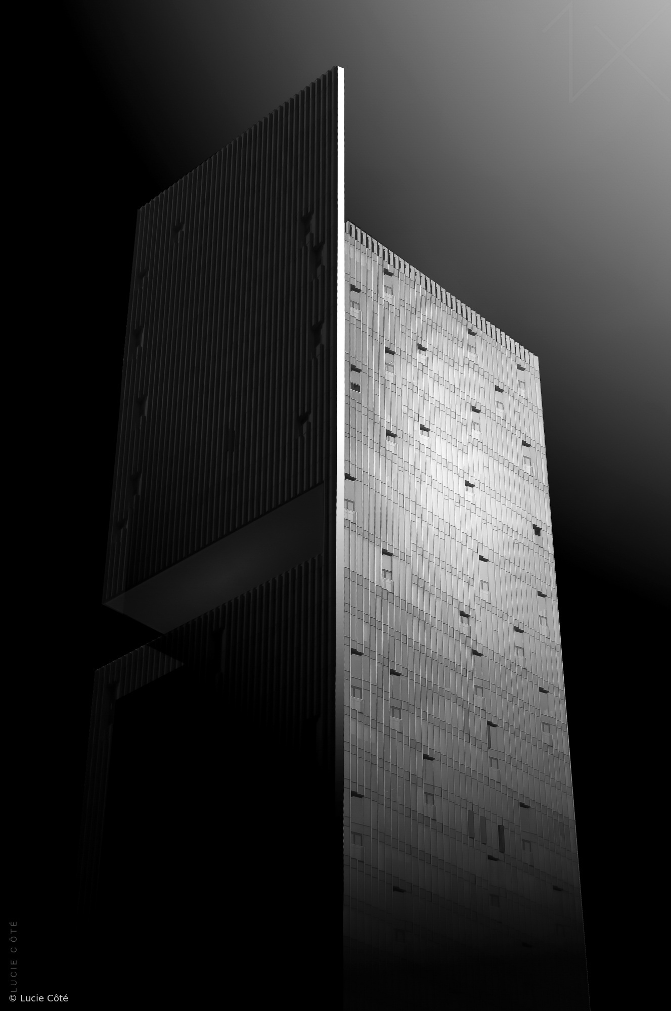 Ligne blanche by Lucie Côté