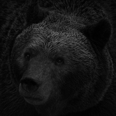 SERENITY 6 by Patrick Ems