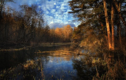 Early Spring Evening by Norbert Maier