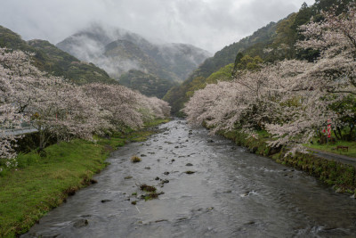 Traditional Japanese Scenery by 中林 光次