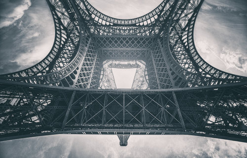 The Singular Objects - "The flower" by Loic REMY - ELREM