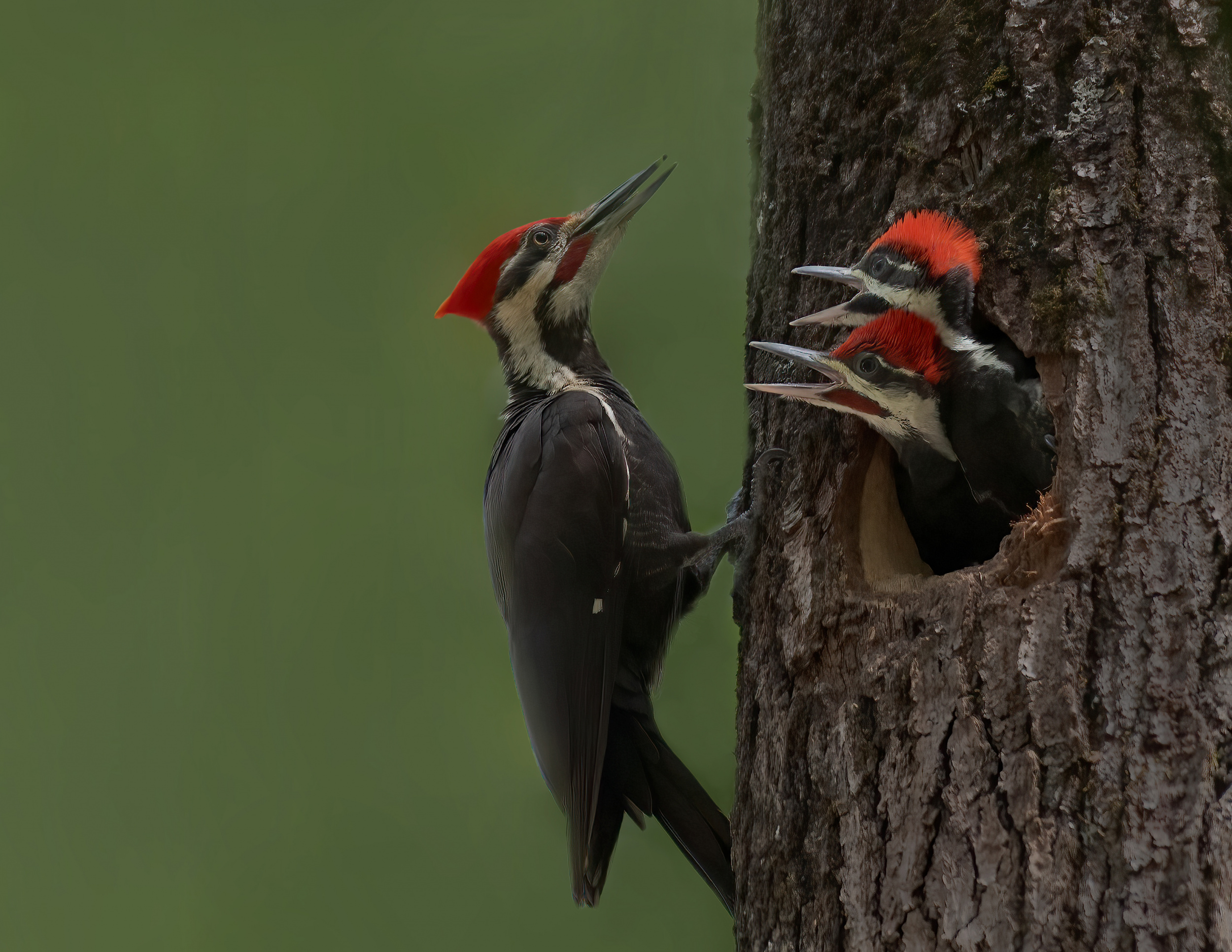 Me First by Jon W Wallach