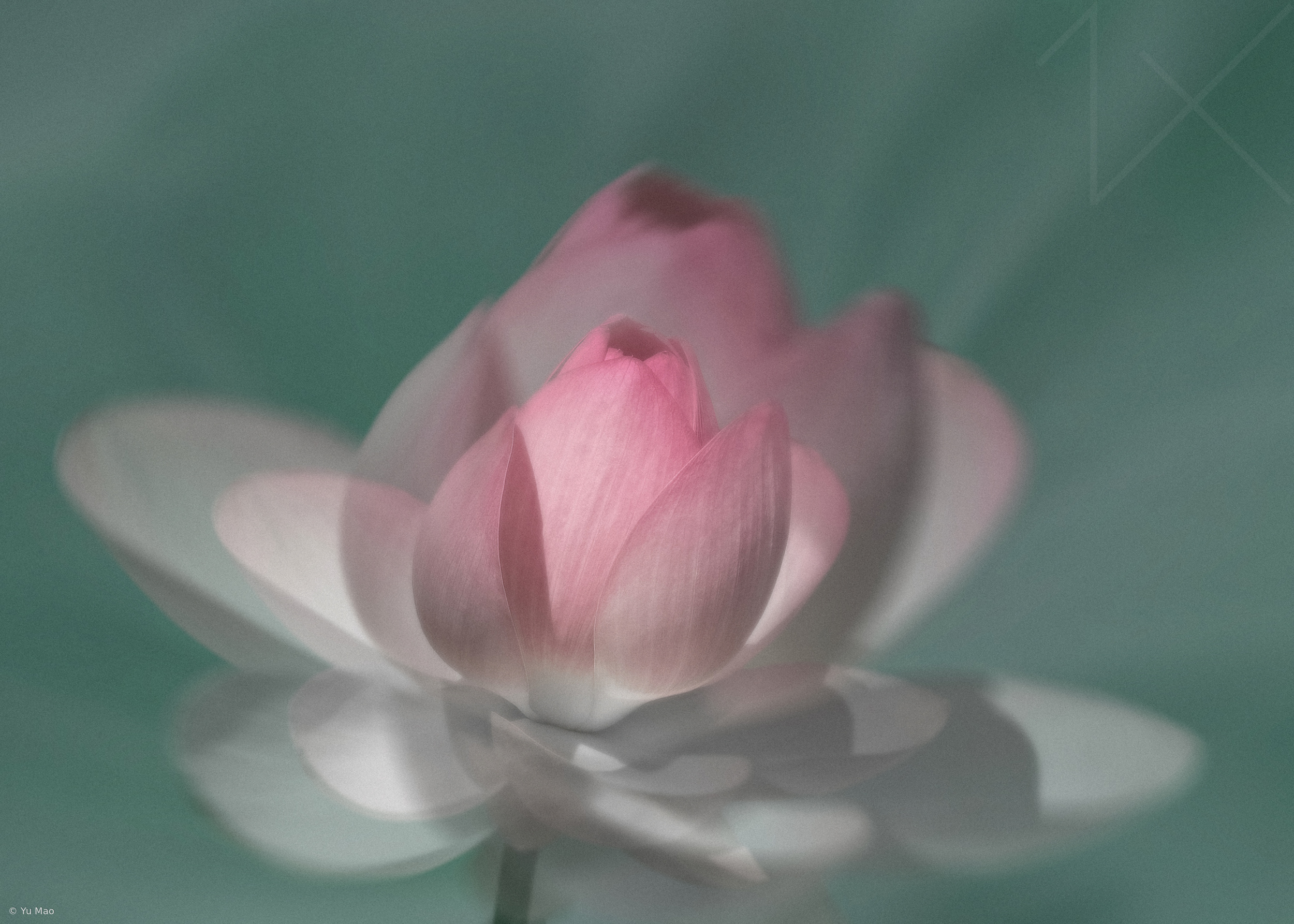 Sumer Dream by Yu Mao