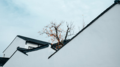 Happiness by Calvin Feng