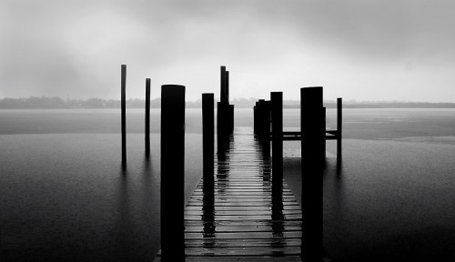 Lost in the Rain by Bill Mangold