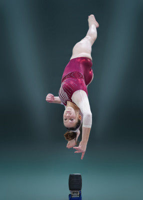 Dismounting by Rob Li