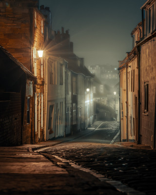 The Sea Fret by Francis Wilson