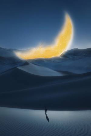 Under the moon by Yanming Zao
