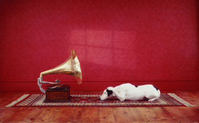 Spot, Gen Z by Jay Myrdal