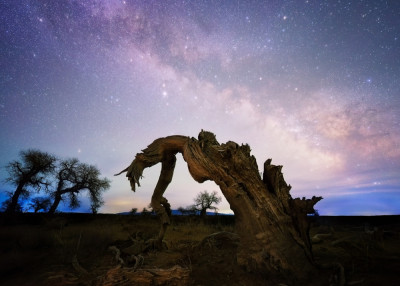 Bowing to the Stars by Hanping Xiao