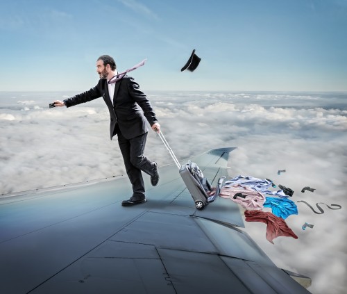 The High Flyer by Joan Blease