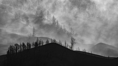 Desolation by José Ignacio Gil Blanco