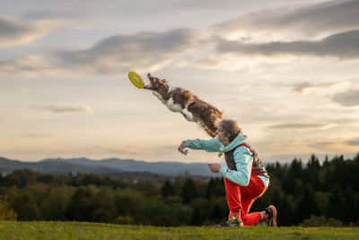 A yellow frisbee by Joško Šimic