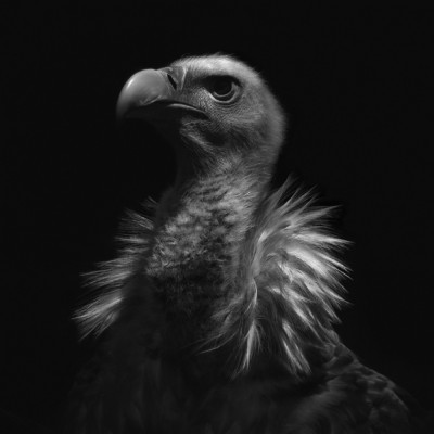 SERENITY 3 by Patrick Ems