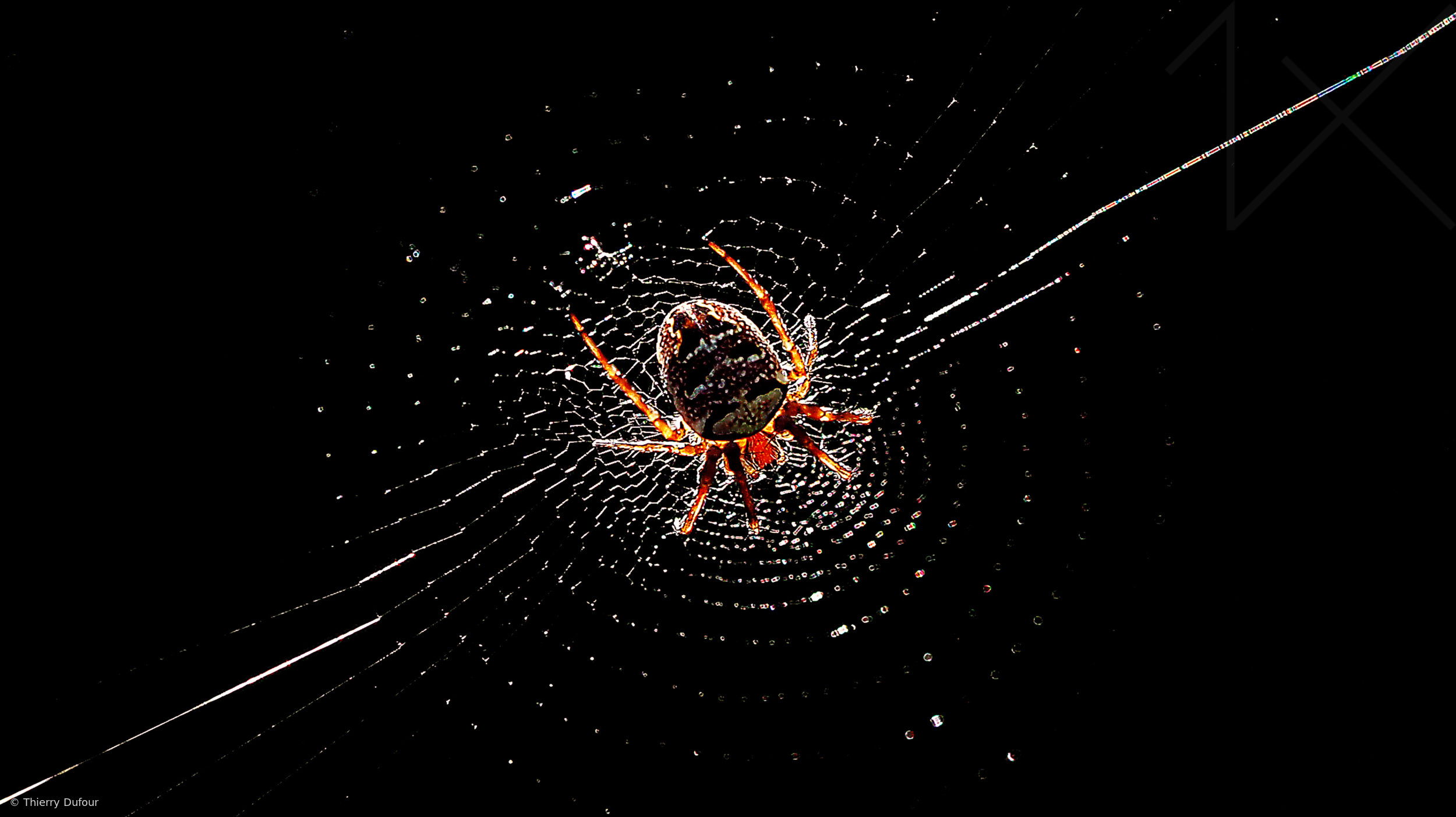 The spider constellation... by Thierry Dufour