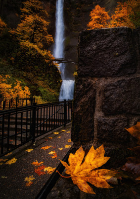 Autumn Majesty at Multnomah Falls by Bruce Li