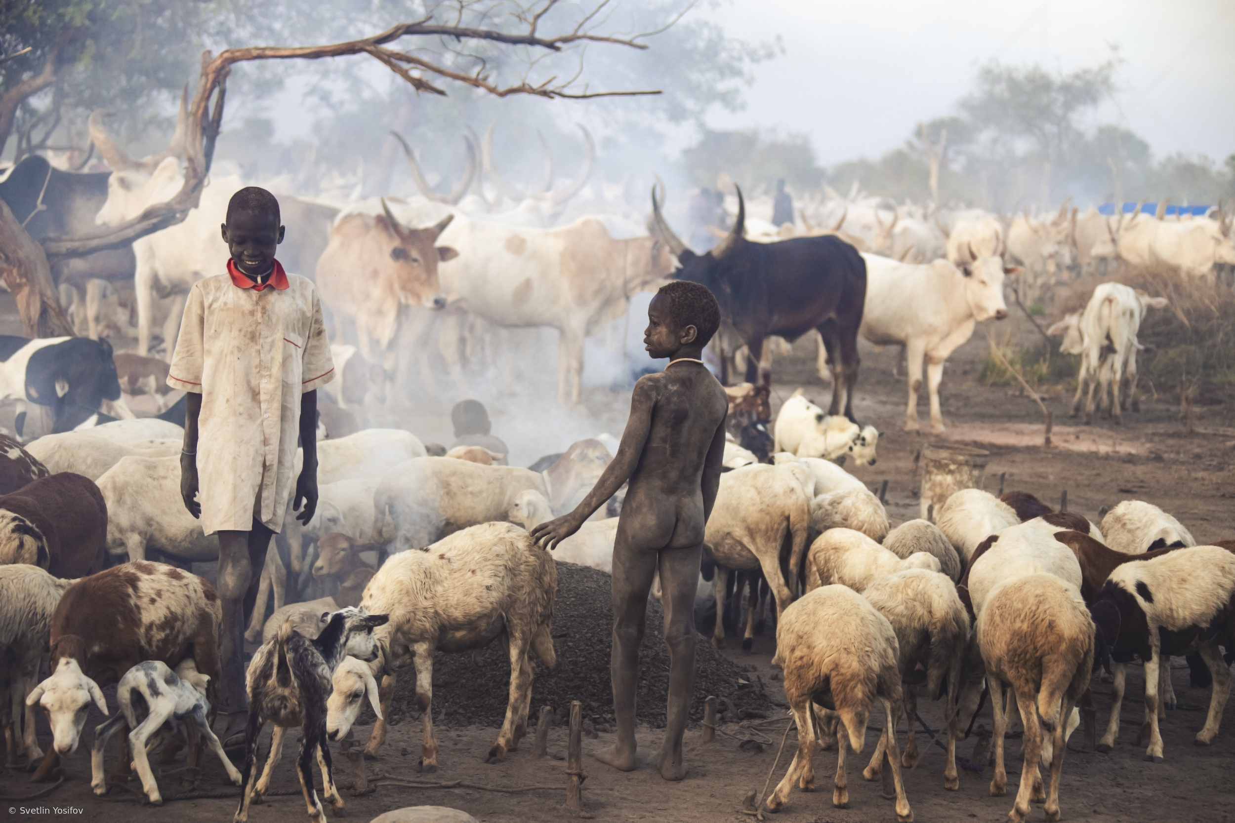 Children, Mundari, South Sudan by Svetlin Yosifov