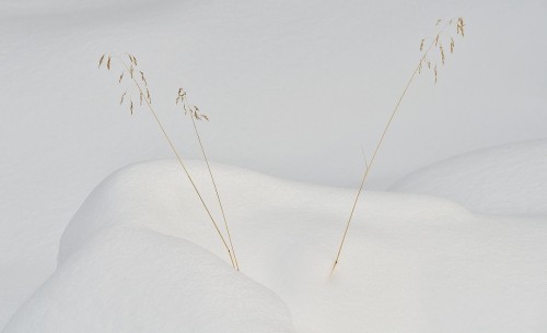 1x - miquel angel artús illana - Latest photos