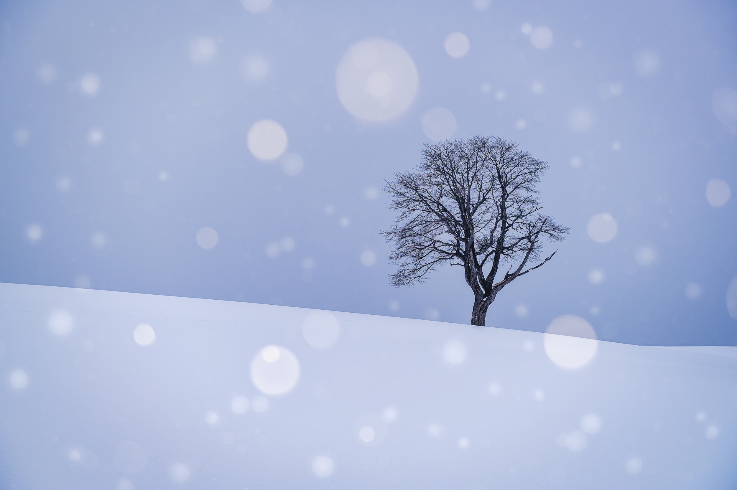 snow fluttering hill by Yuusei Nagahata