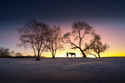 Early morning in snow-covered ranch by Songlin Xu