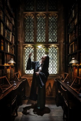 Slytherin‘s Witch by Shizuru