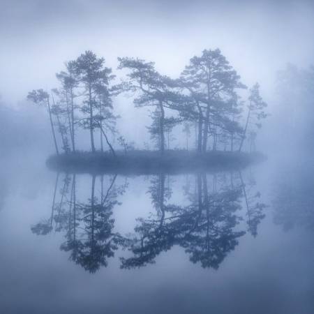 The Island by Philip Slotte