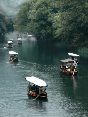 morning fleet by wuyi