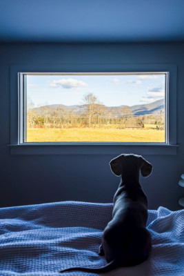 Daybreak by David Royds